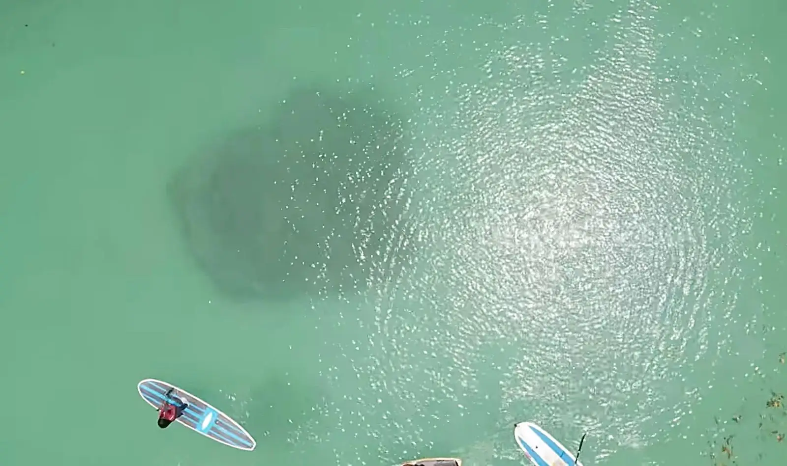 Panorama yang masih sangat alami menjadi salah satu keistimewaan dari ...